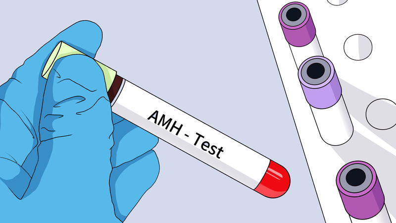 揭开男性抗缪勒管激素（AMH）的“面纱” - 好大夫在线