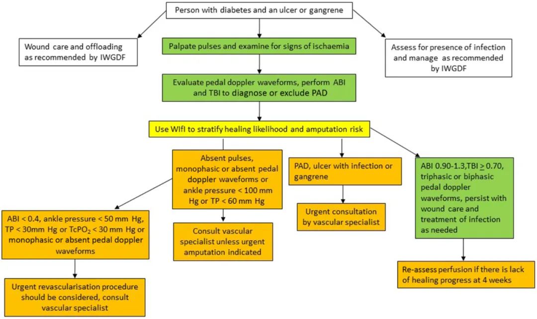 IWGDF/ESVS/SVS 糖尿病和足溃疡患者外周动脉疾病的跨学会指南_糖尿病足_糖尿病足日常注意事项 - 好大夫在线