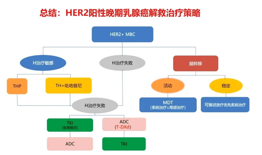 2024 CSCO BC指南对HER2阳性晚期乳腺癌最新治疗进展更新_乳腺癌_治疗方式_日常注意事项 - 好大夫在线