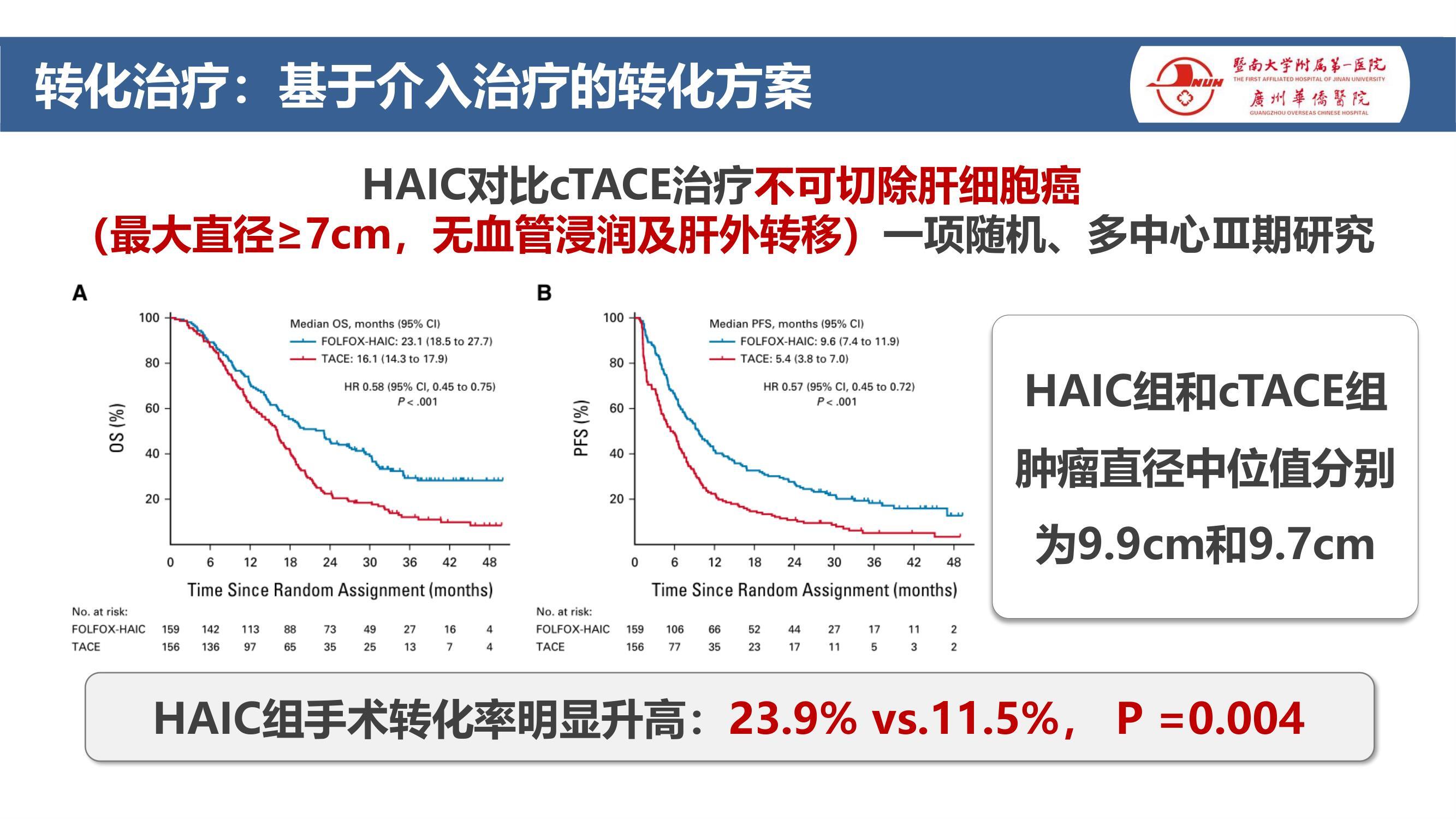 肝癌转化、新辅助和辅助治疗的研究进展（2023）（上） - 好大夫在线