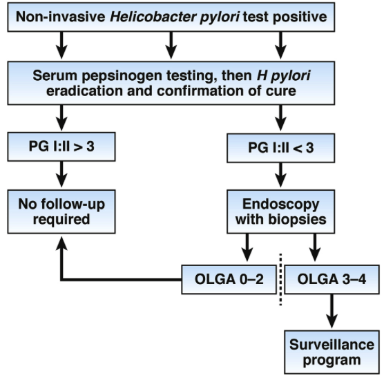 慢性胃炎OLGA、OLGIM分期以及随访流程 - 好大夫在线